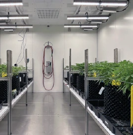Cámaras para Crecimiento de Plantas y Biotecnología | Aralab - Aralab